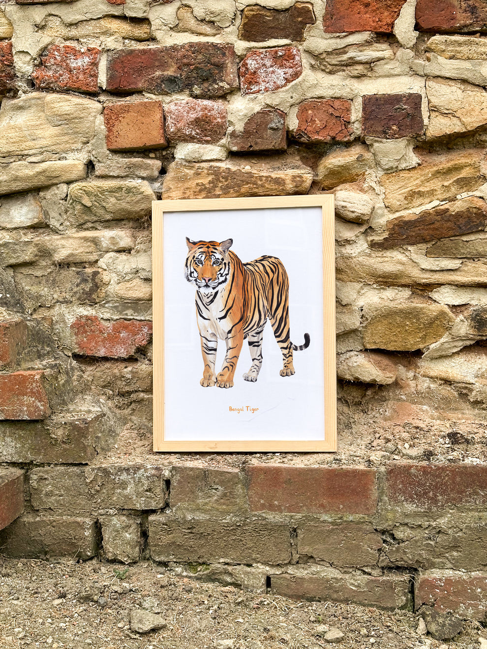 Bengal Tiger Print – This Thursday