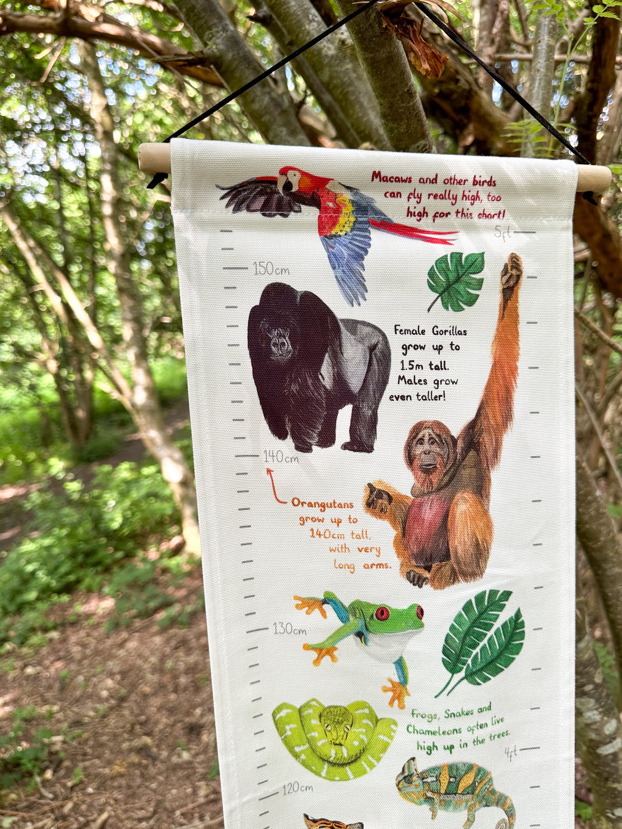 Jungle Animals Fabric Height Chart – This Thursday